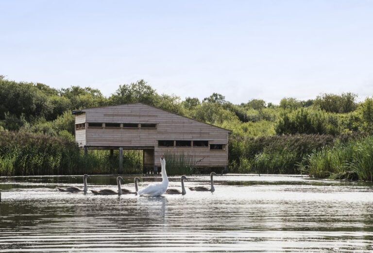 Gosforth Nature Reserve - Natural History Society of Northumbria
