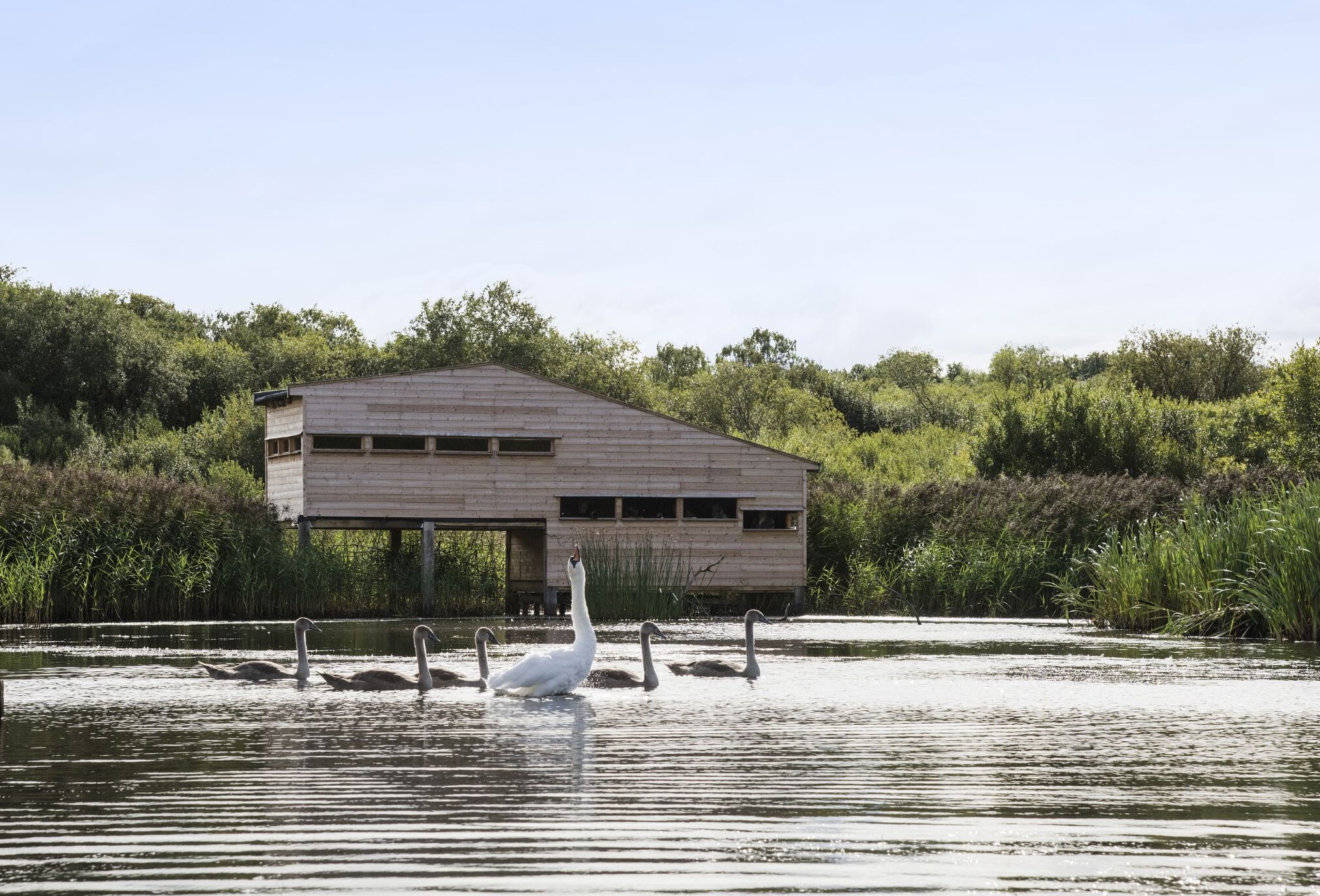 Gosforth Nature Reserve - Natural History Society of Northumbria
