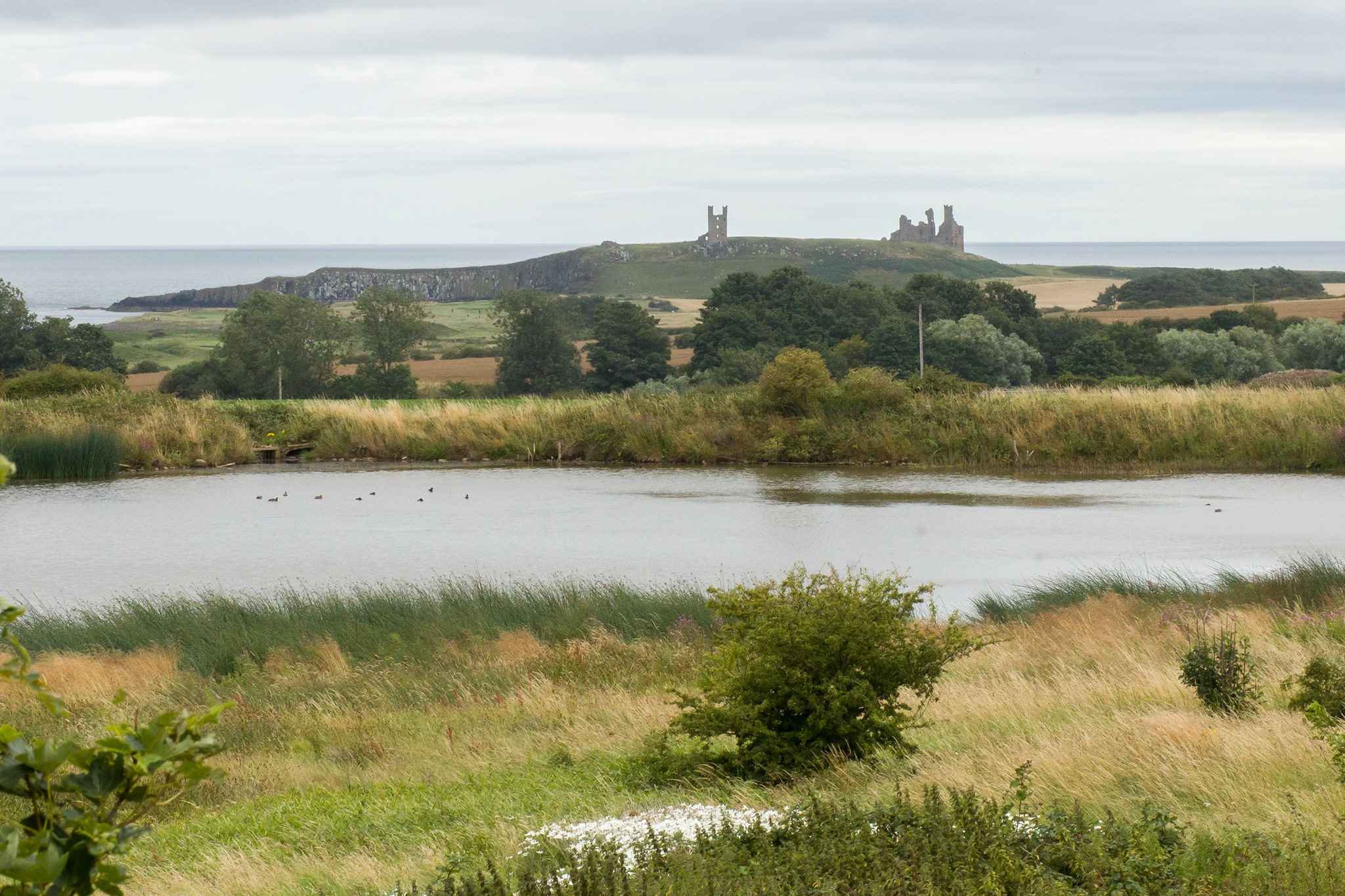 Embleton Quarry: a gem on the Northumberland Coast - Natural History ...