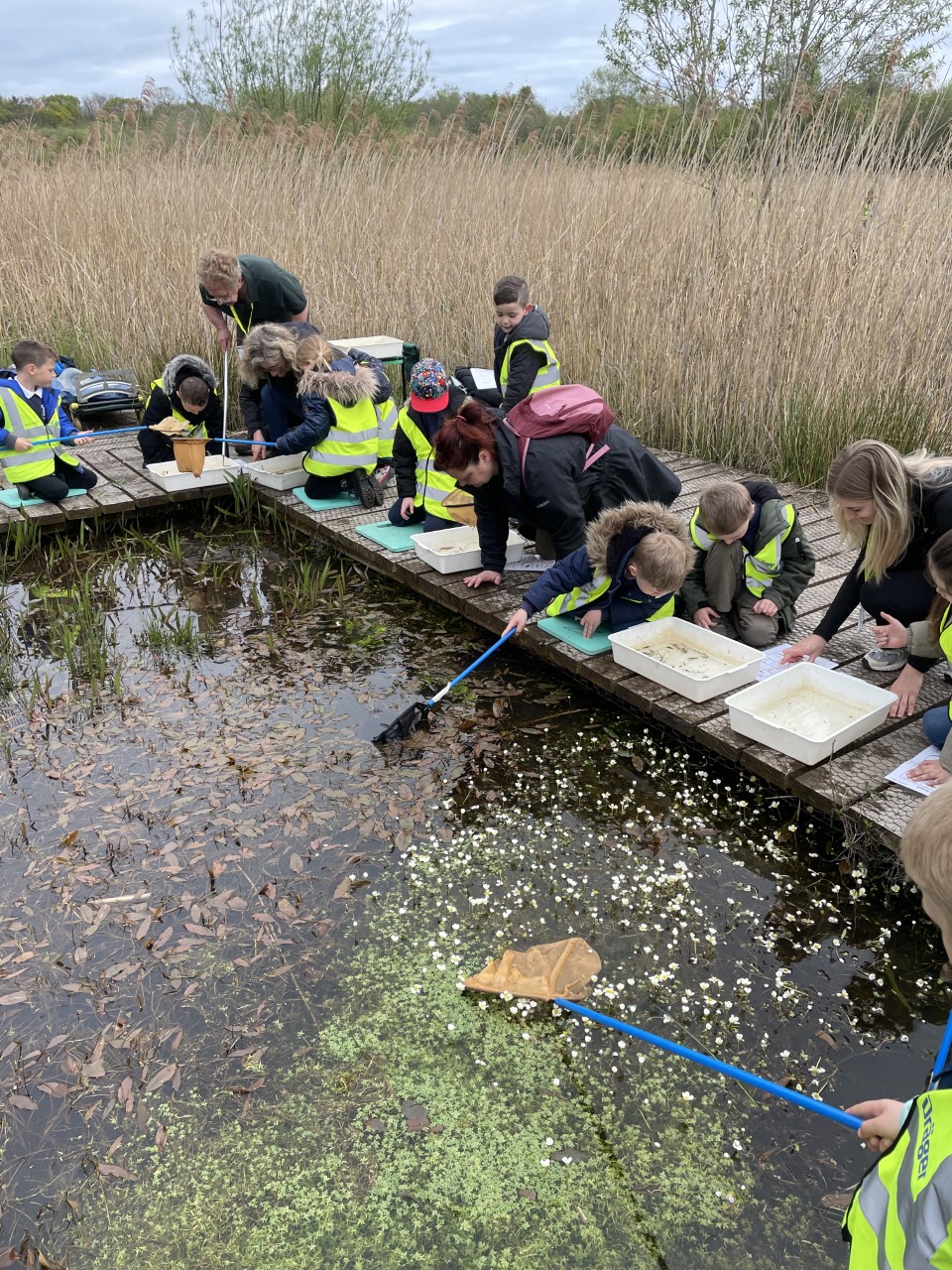 How to be a Young North East Naturalist reaches a new milestone ...