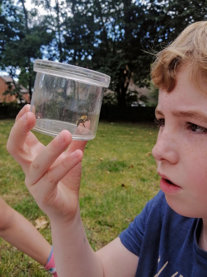 Plan A for North East Nature Gets Underway - Natural History Society of ...