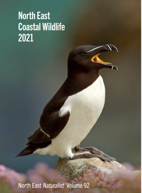 North East Coastal Wildlife 2021 - Natural History Society of Northumbria