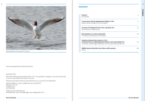 North East Coastal Wildlife 2021 - Natural History Society of Northumbria