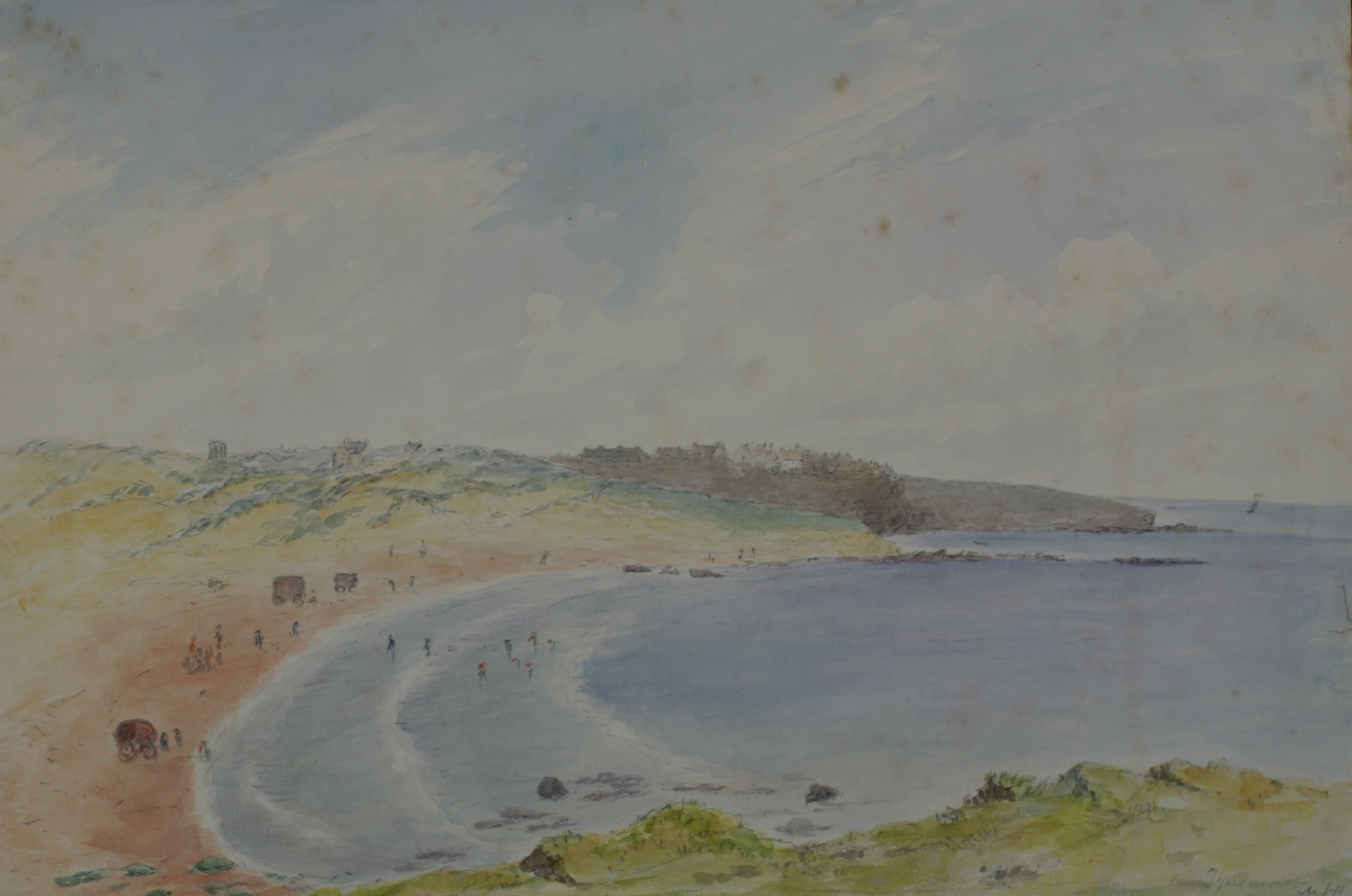 Stories from the North East Nature Archive: Mary Jane Hancock’s ...