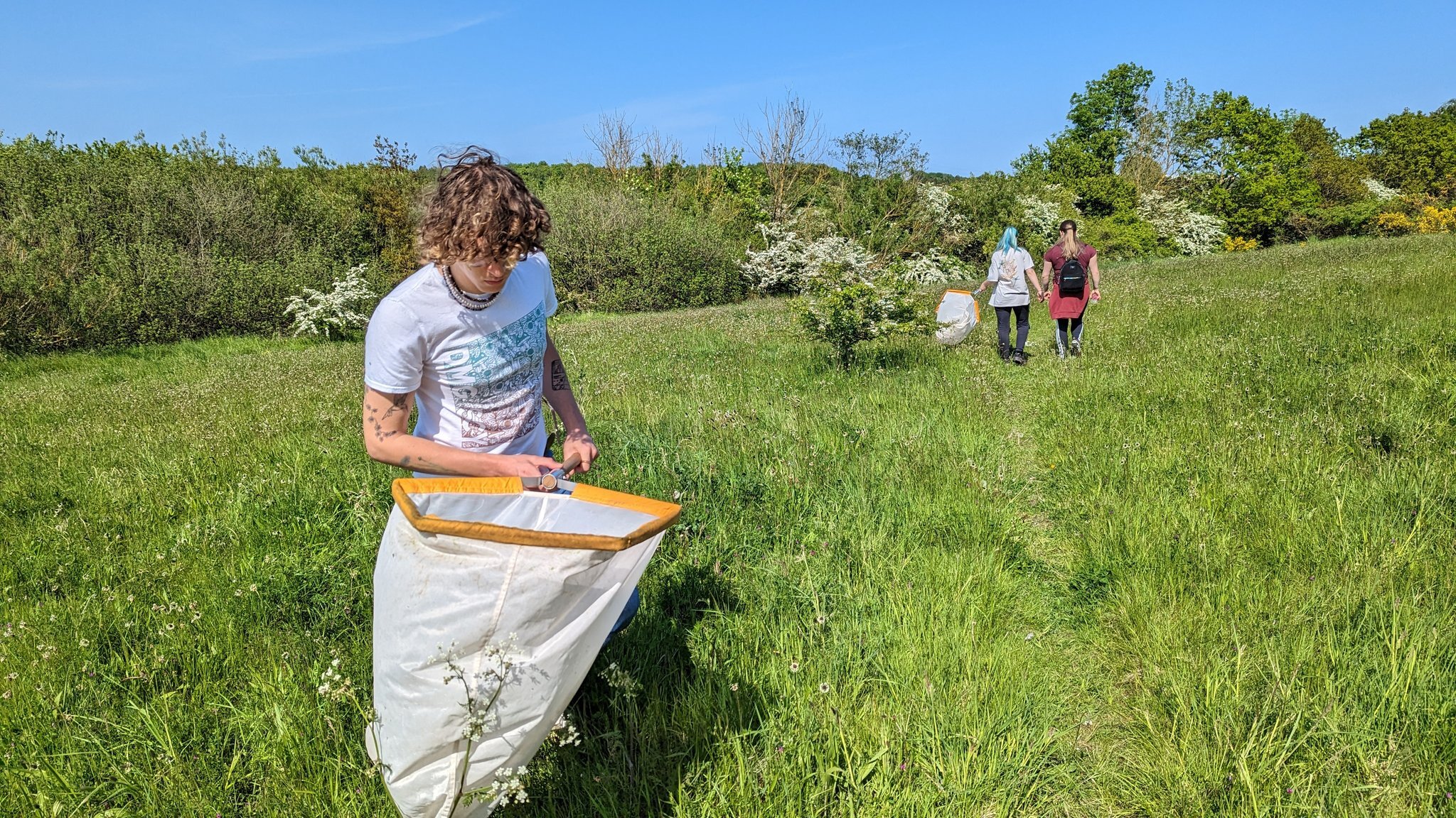 NEW FOR YOU IN 2024 Field identification skills training – applications ...