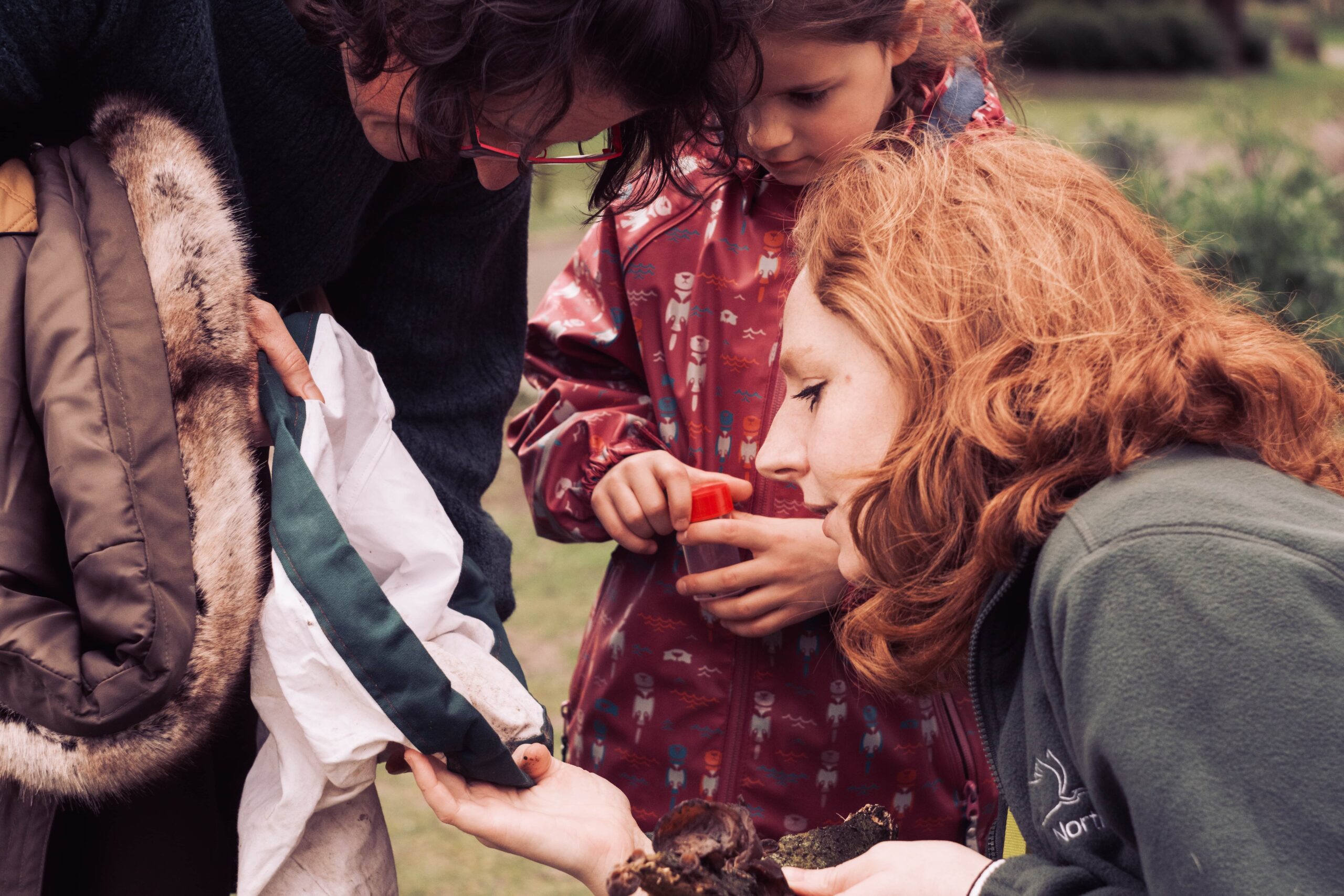 What Exactly is a Bioblitz? - Natural History Society of Northumbria