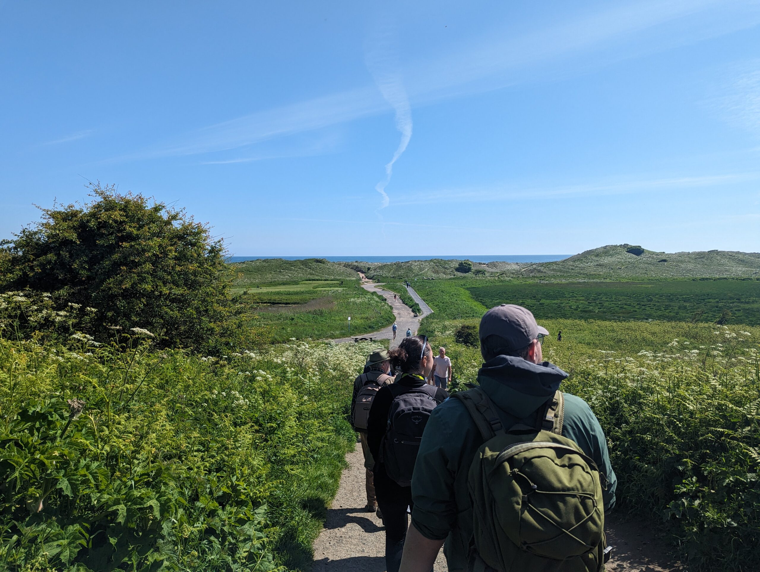 NHSN Field Skills - Botany at Warkworth - Natural History Society of ...