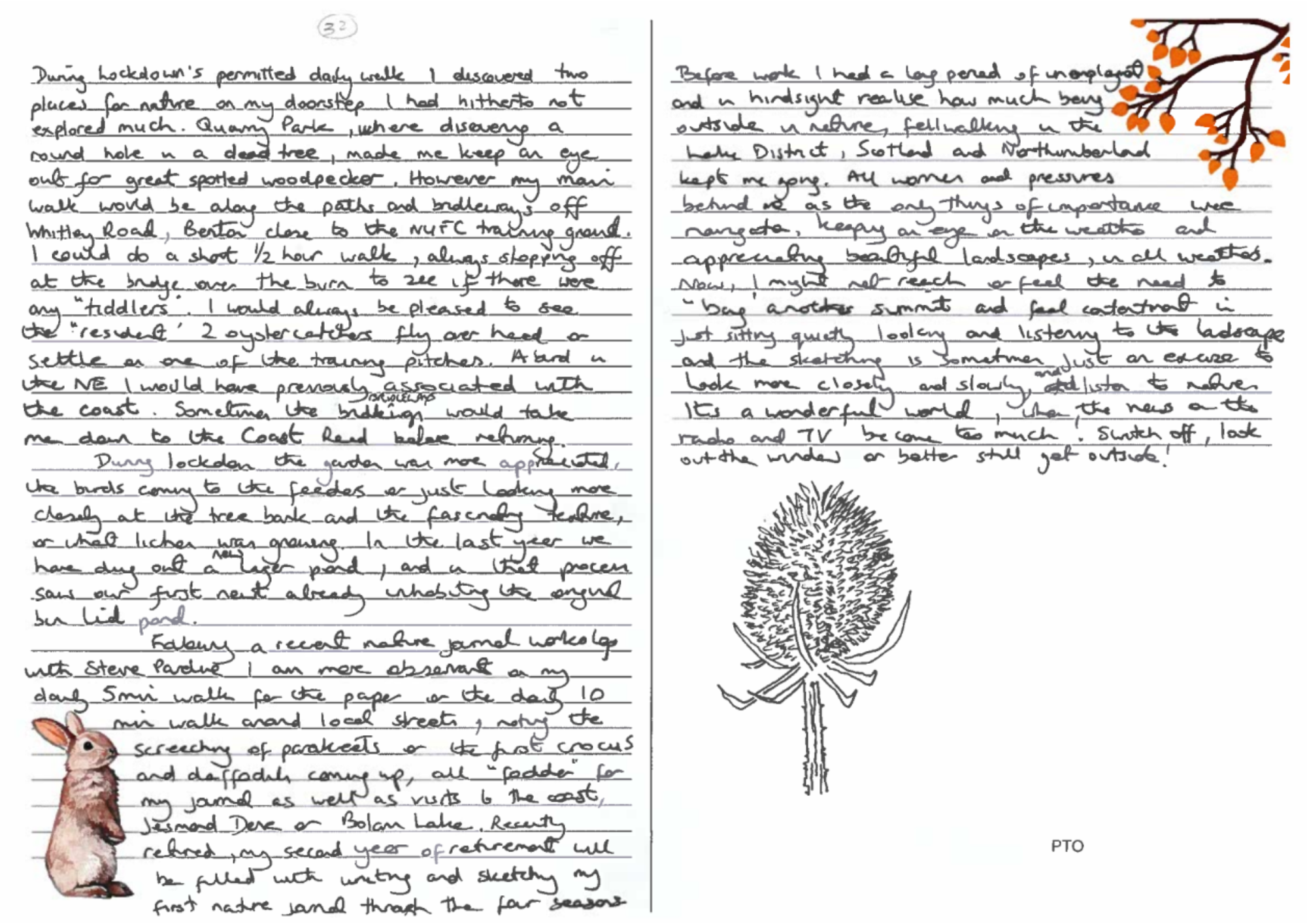 How Covid impacted our relationship with nature - Natural History ...